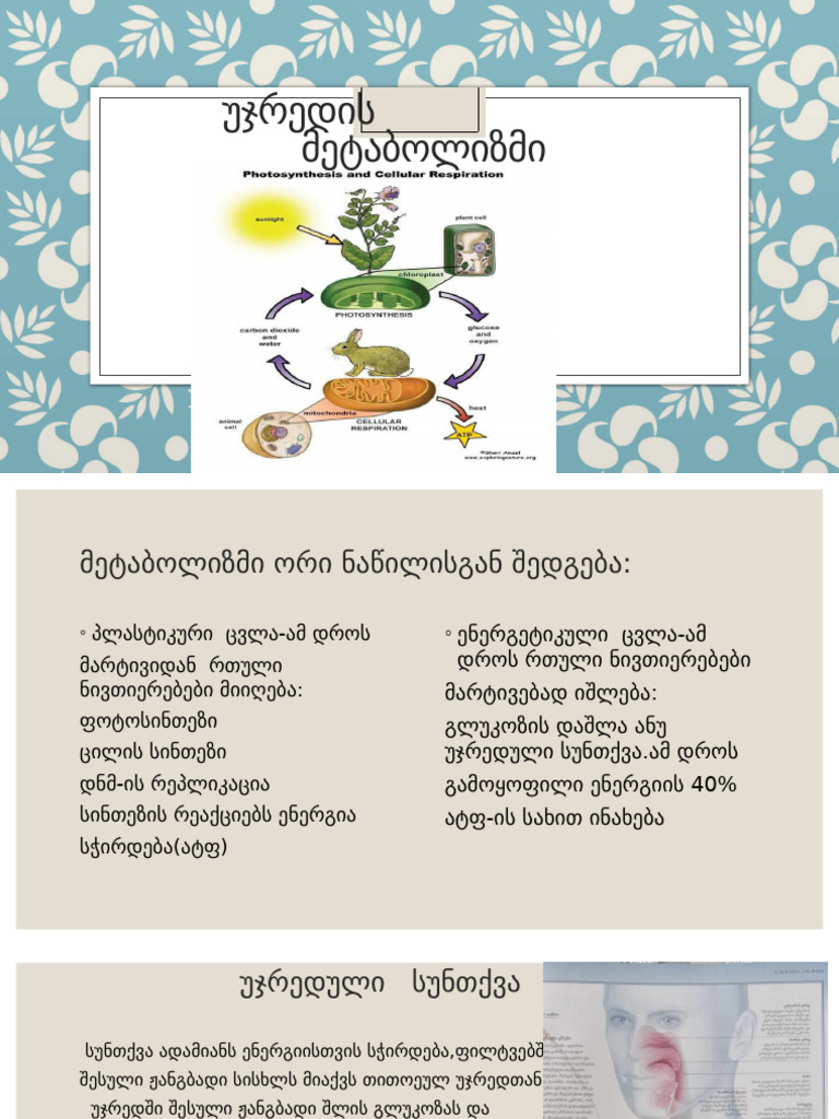 უჯრედის მეტაბოლიზმი Autosaved Pdf