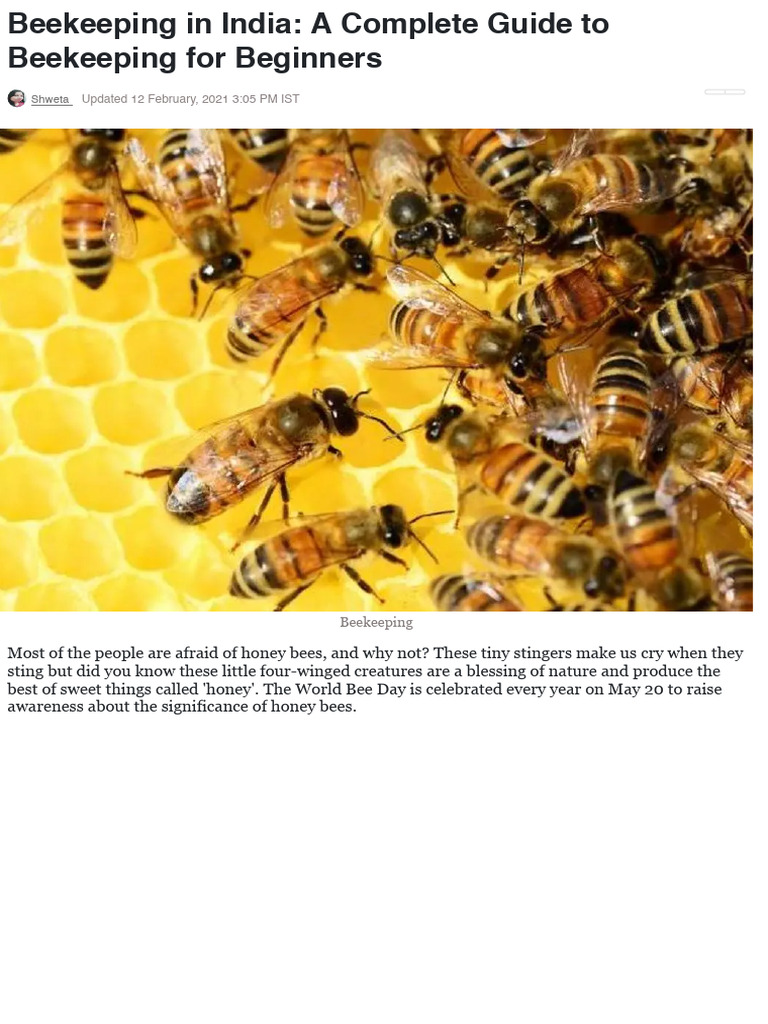 Beekeeping in India: A Beginner's Guide | PDF | Honey Bee | Beekeeping