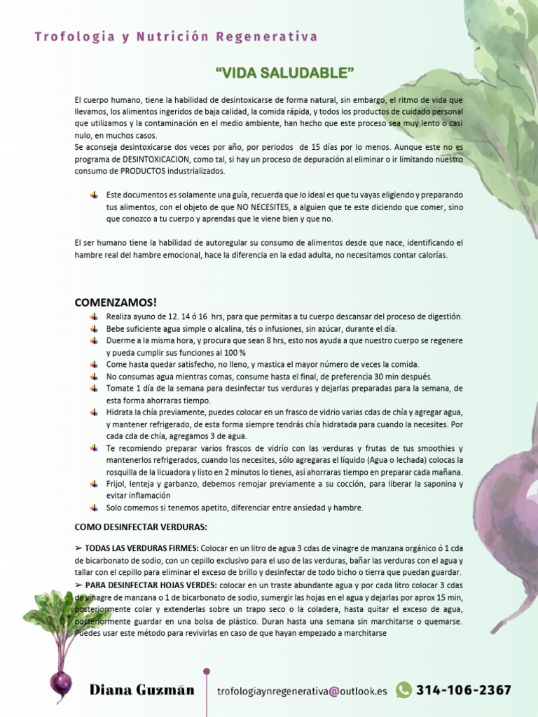 Programa de Alimentacion | PDF | ensalada | Alimentos