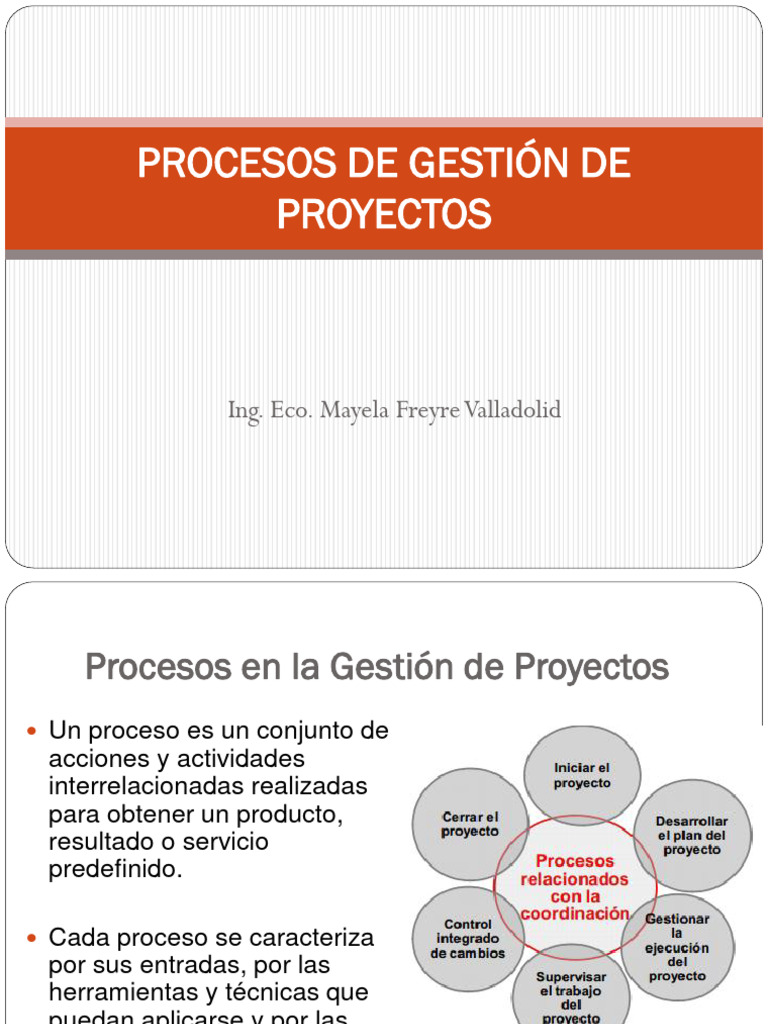 S3 Procesos de Gestion | PDF | Gestión de proyectos | Planificación