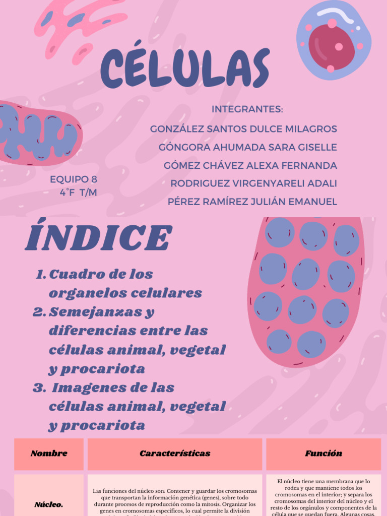 Células | PDF | Biología Celular) | Citoplasma