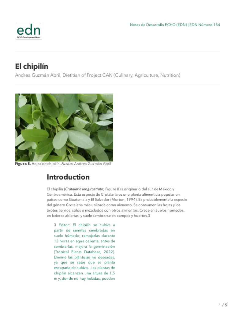 Chipilin | PDF | Cocinando | Alimentos