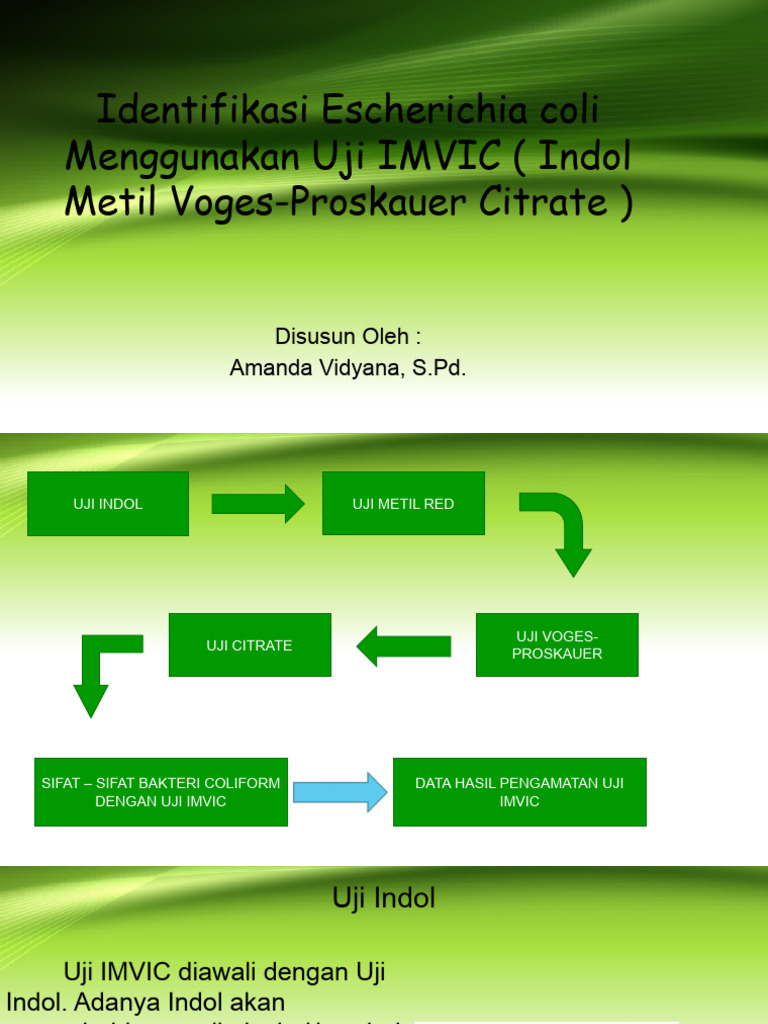 Identifikasi Escherichia Coli Menggunakan Uji IMVIC | PDF | Kesehatan Holistik