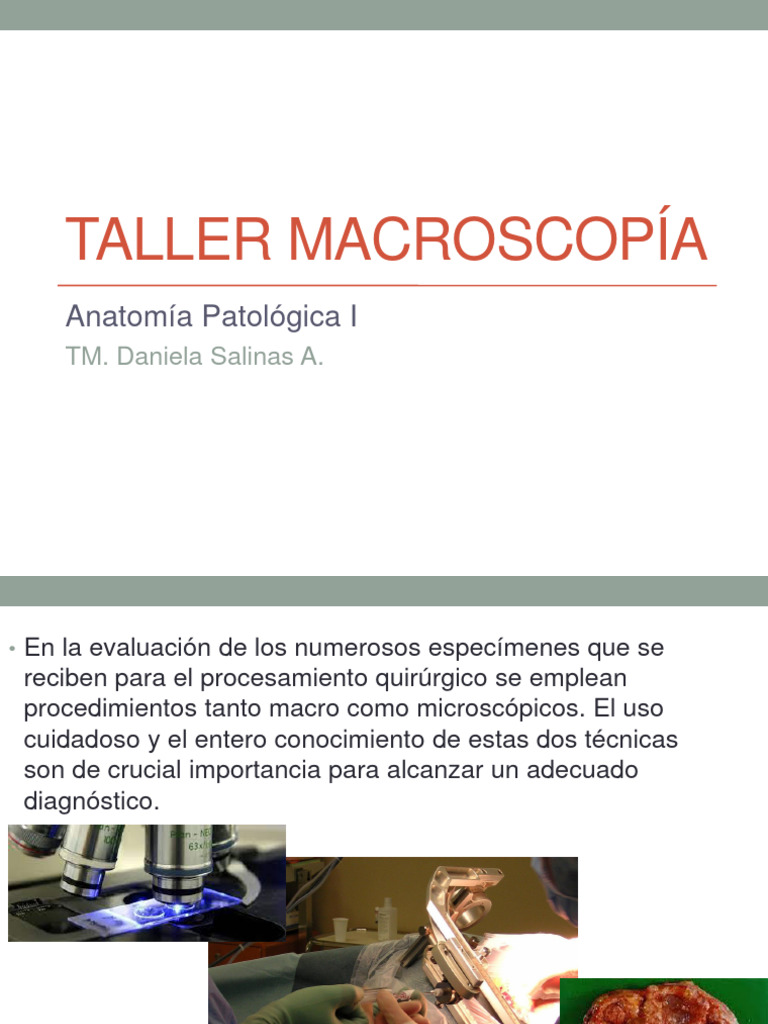 Taller Macroscopía | PDF | Medicina CLINICA | Especialidades Medicas