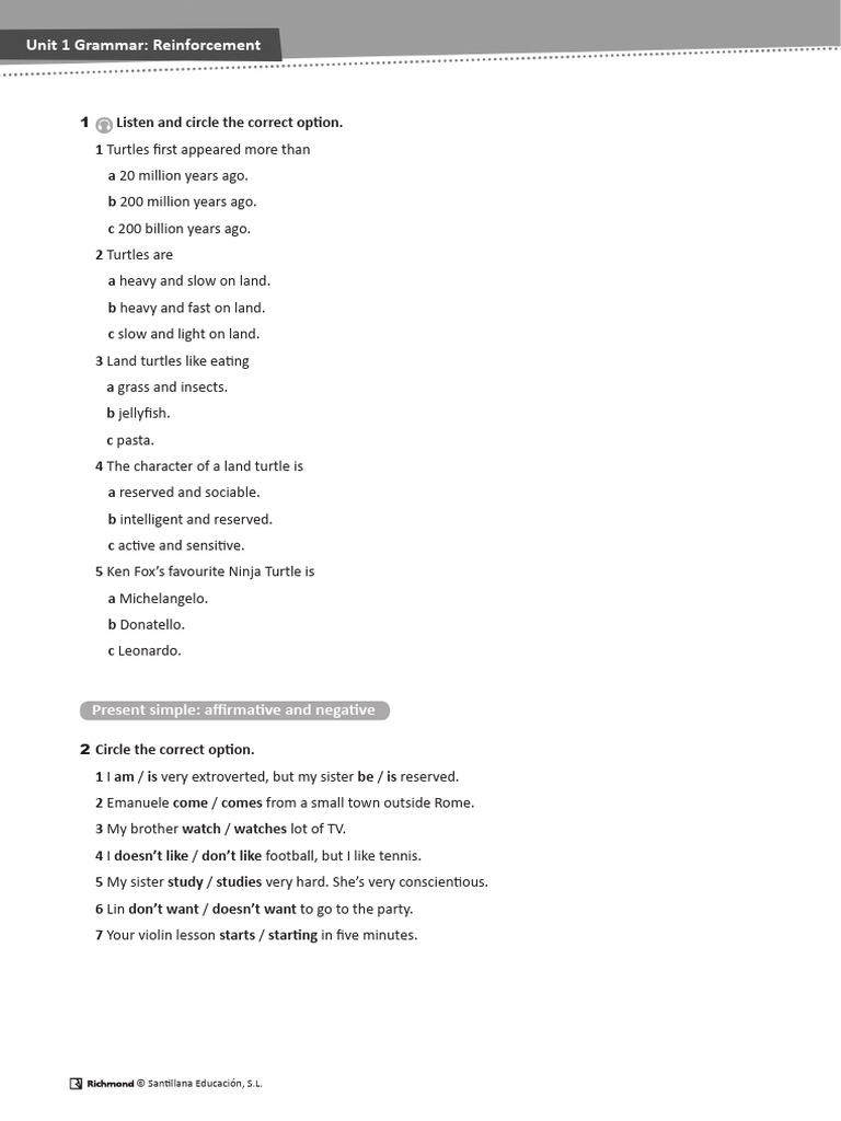 0111-Ny2 Grammar Unit1 Af-7031712535787 | PDF | Linguistics