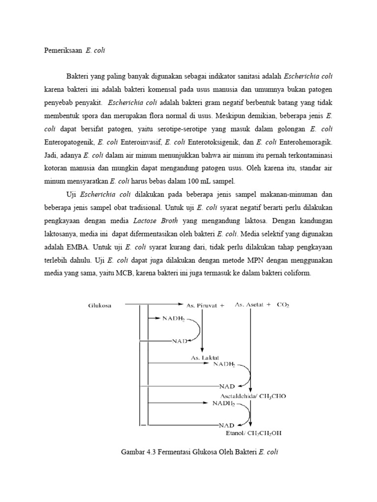 Uji Coliform Dan Salmonella | PDF