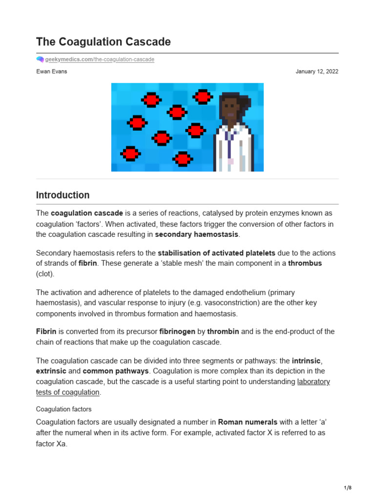 The Coagulation Cascade | PDF | Coagulation | Platelet