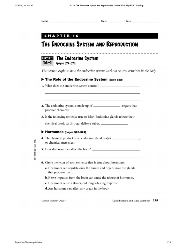 Ch. 16 The Endocrine System and Reproduction - Guset User Flip PDF ...