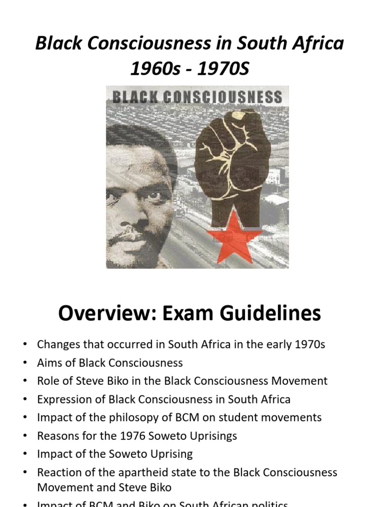 History Study Notes Topic - 4 - Black - Consciousness - Movement ...