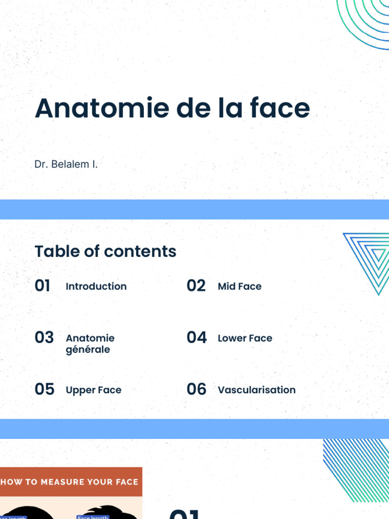 Anatomie détaillée de la face humaine | PDF | Anatomie humaine | Anatomie
