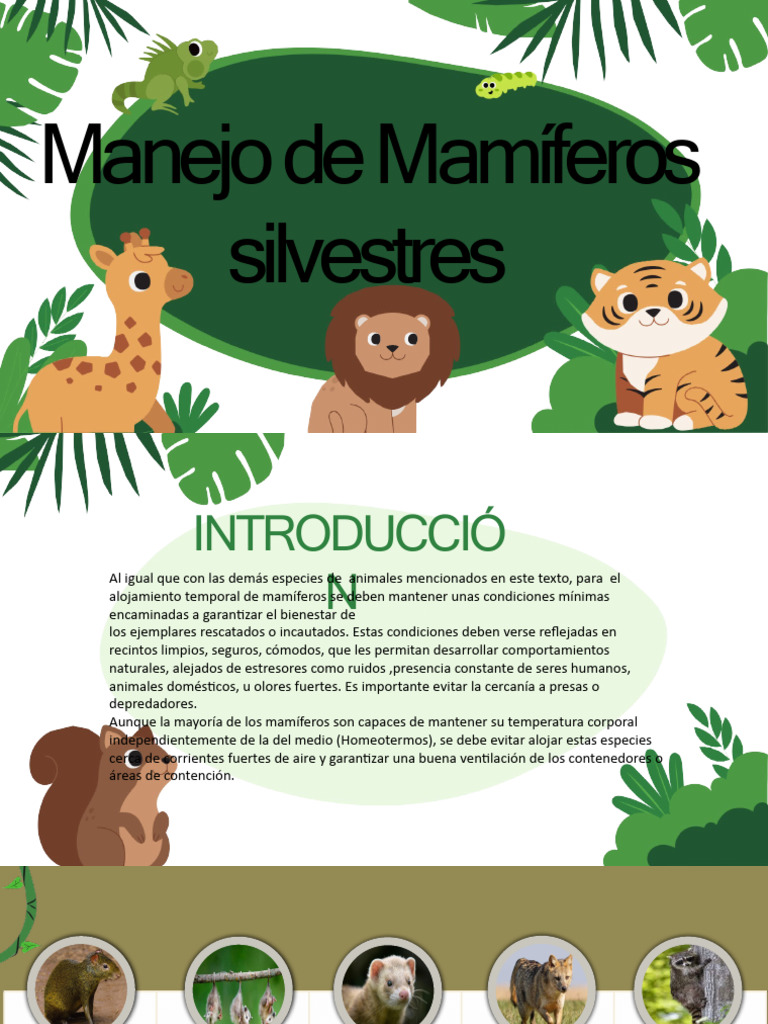 Manejo de Mamíferos Silvestres | PDF | Mamíferos | Dieta