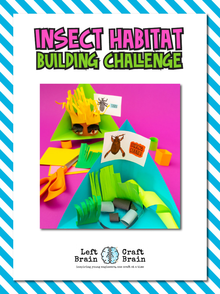 insect-habitat-building-challenge-lbcb | PDF | Forests | Insects