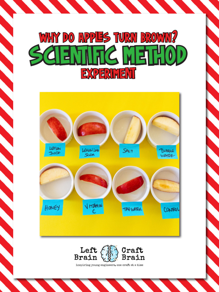 Why Do Apples Turn Brown Left Brain Craft Brain | PDF | Water