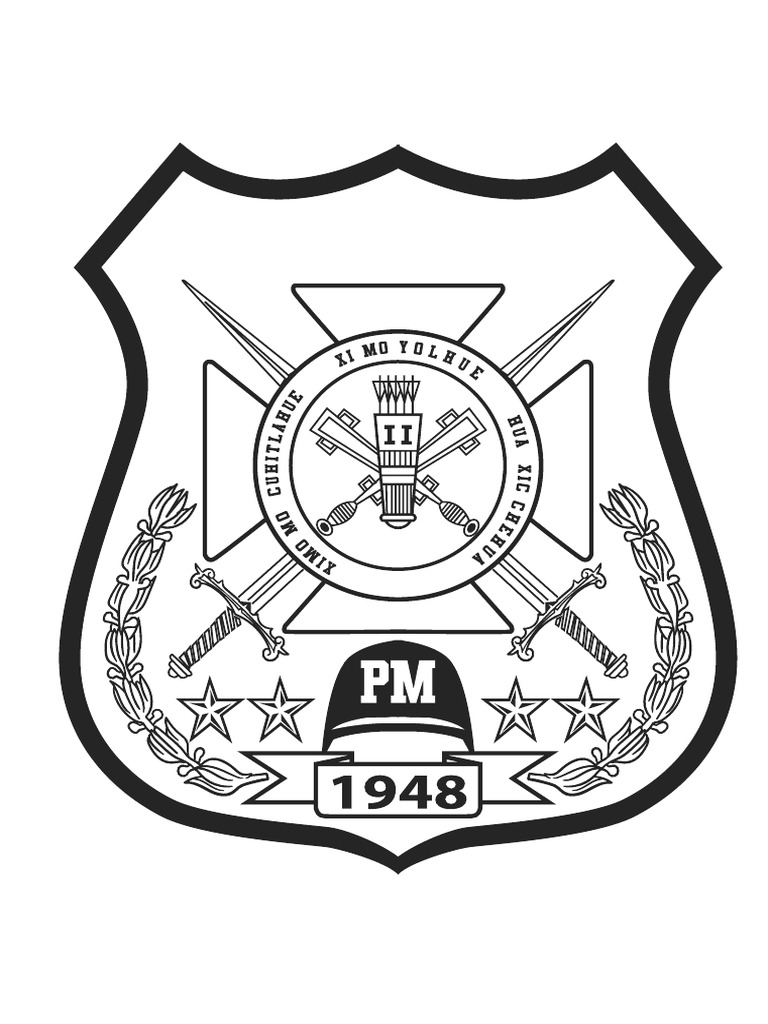 PM Plata | PDF