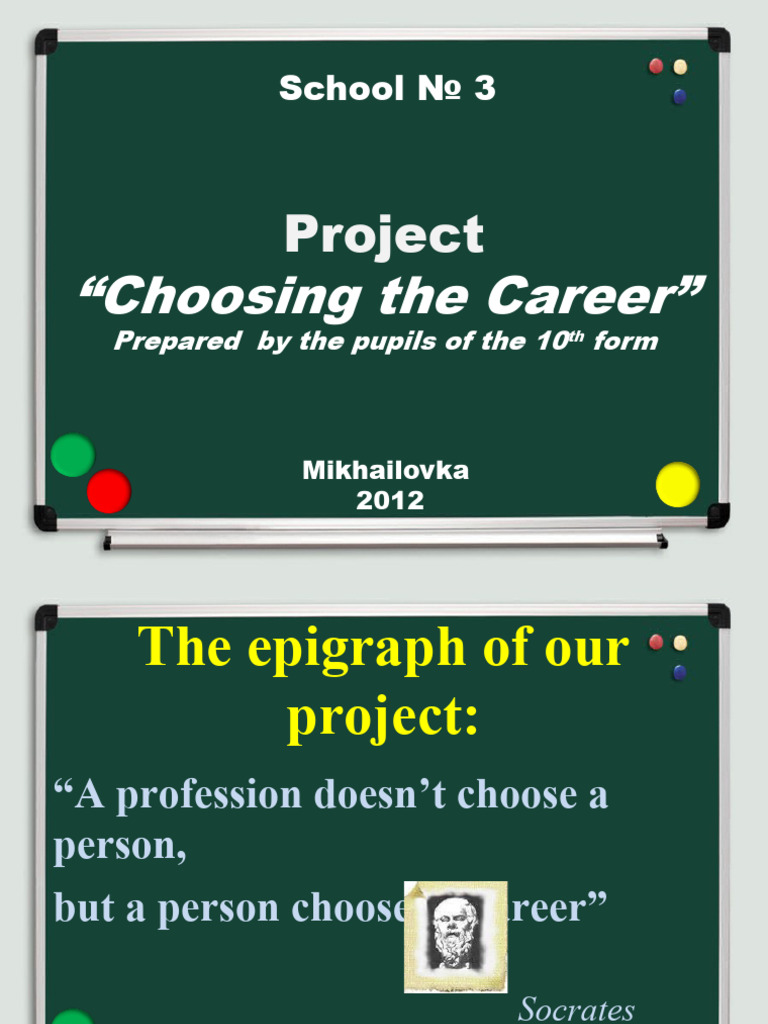 Choosing The Career | PDF