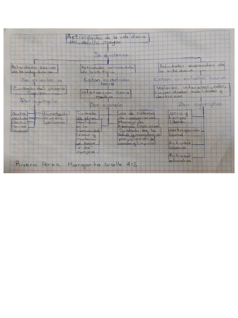Mapa Conceptual de AVD | PDF