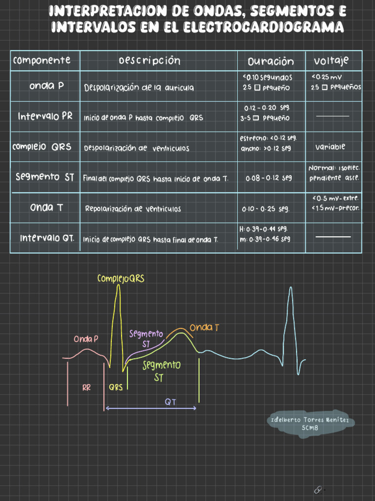 Guía de ECG: Ondas y Segmentos | PDF | Electrofisiología cardíaca ...