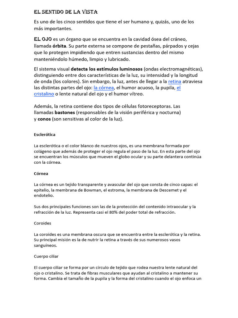 El Sentido de La Vista | PDF | Ojo humano | Percepción visual
