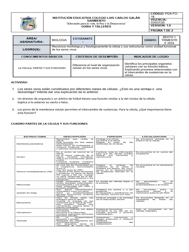 Estructura y Función Celular Sexto Grado | PDF | Biología Celular ...