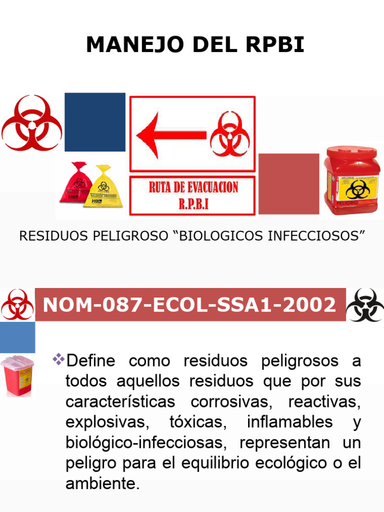 RPBI | PDF | Ciencia y matemáticas