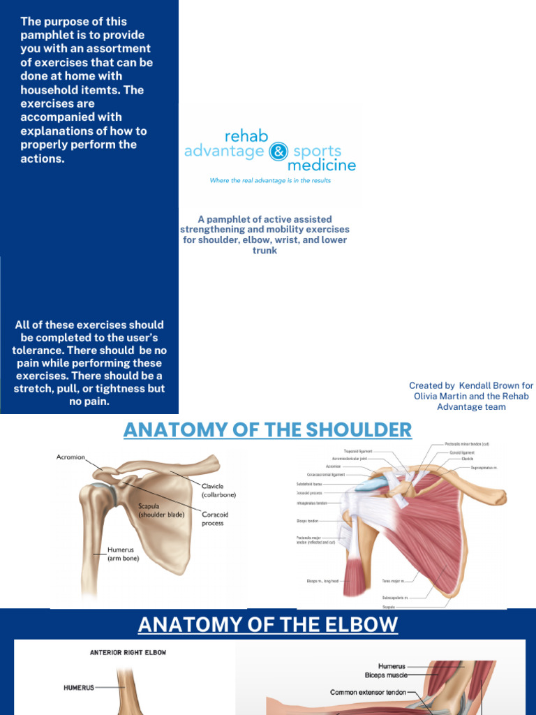 rehab advantage pamphlet exercises | PDF | Anatomical Terms Of Motion ...