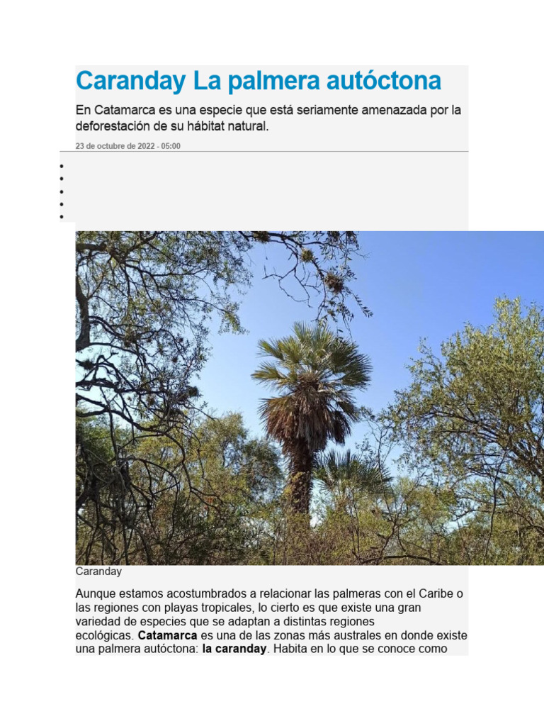 Caranday La palmera autóctona | PDF