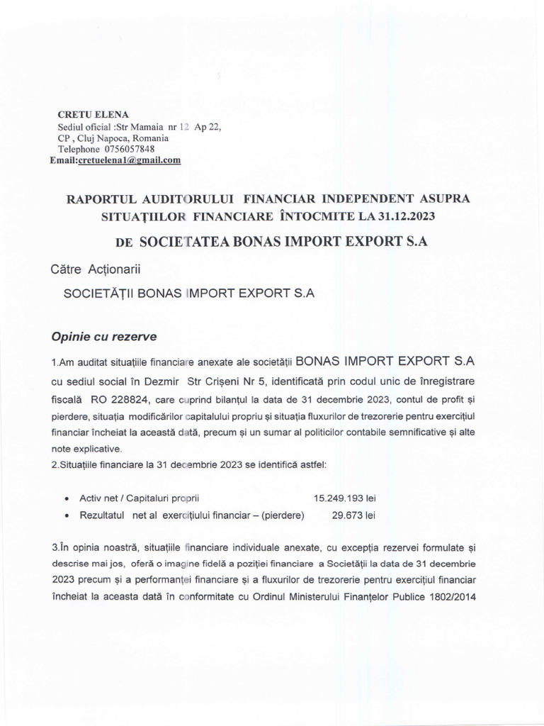 Raport Audit 2024 | PDF