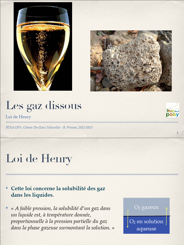 Gaz Dissous | PDF | Gaz | Physique appliquée et interdisciplinaire