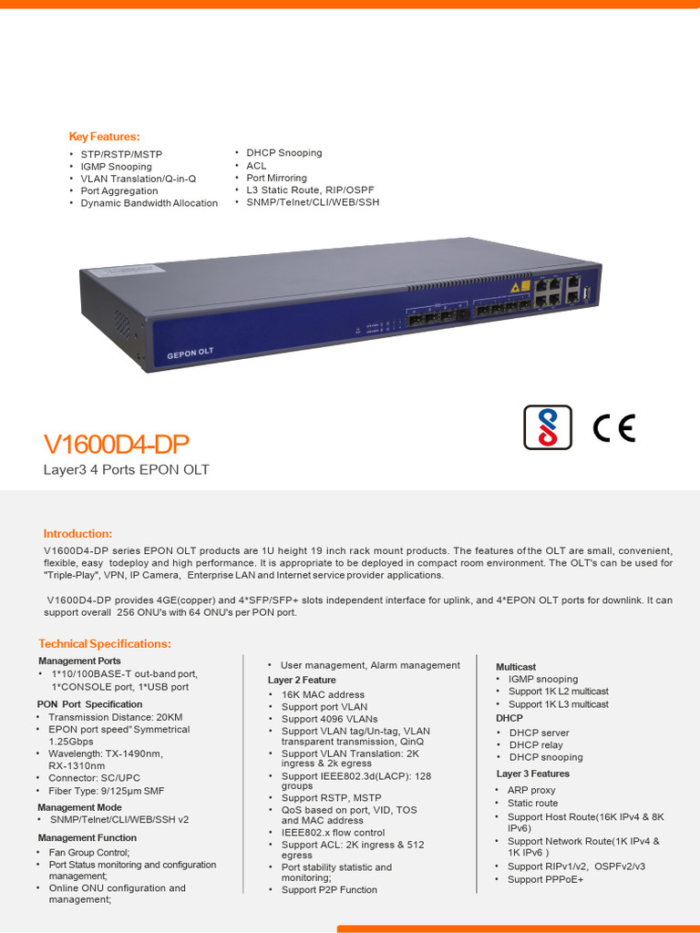 V1600D4-DP (V2.1) Datasheet-EN (无logo) | PDF | I Pv6 | Ip Address