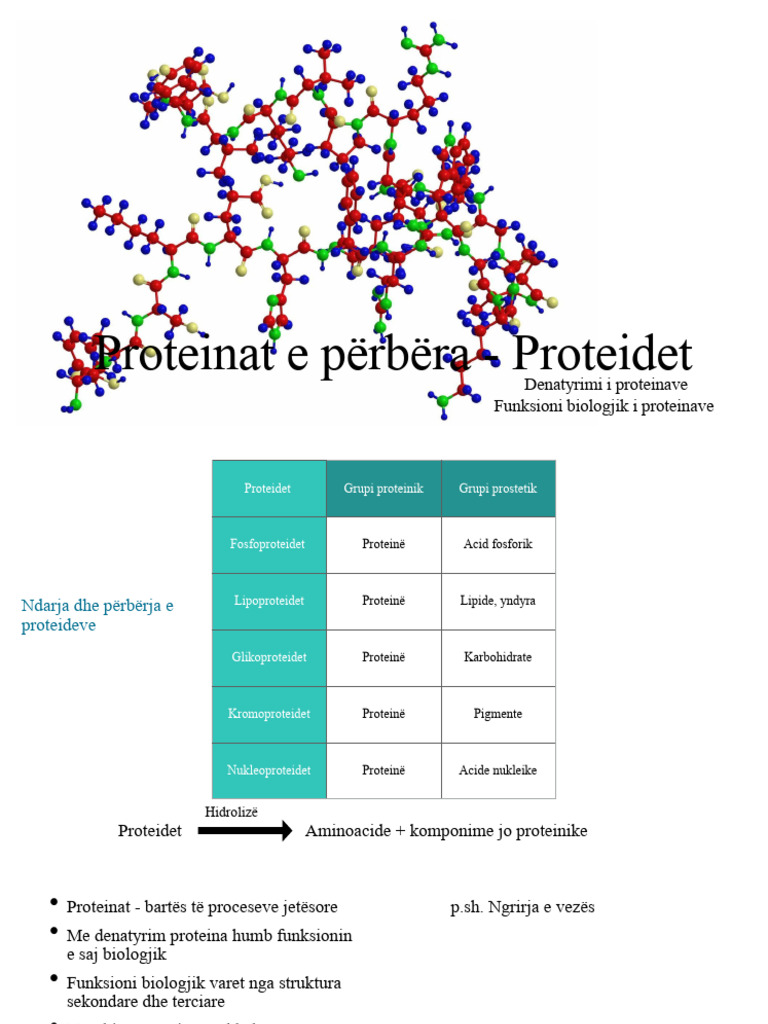 Proteinat e Përbëra | PDF