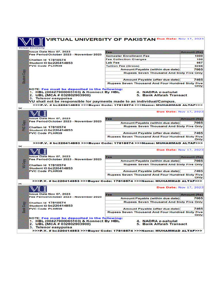 Challan Print Preview | PDF