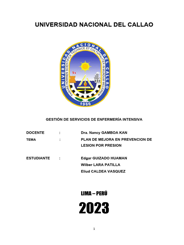 Plan de Mejora en Prevención de LPP | PDF | Unidad de Cuidados ...