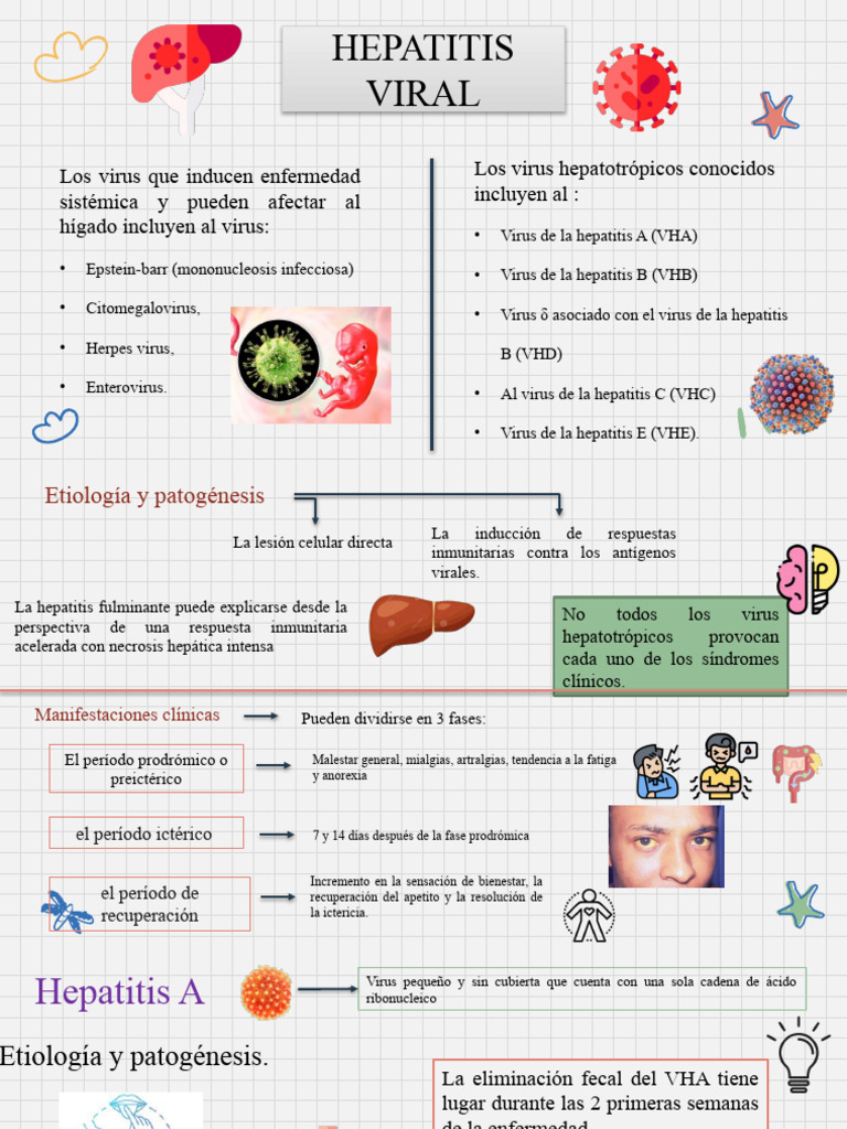 Tipos y Tratamiento de Hepatitis Viral | PDF | Hepatitis | Hepatitis B