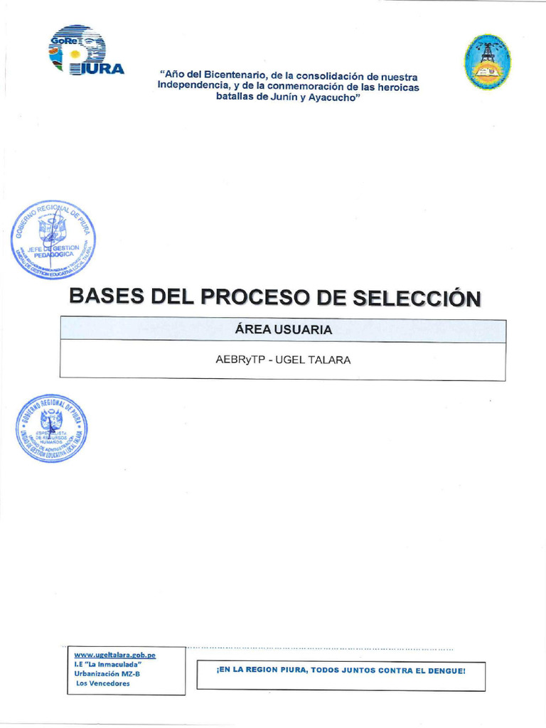 Bases de Convocatoria Cas 2024 - Supervisores Privados y Cist - Mayo | PDF