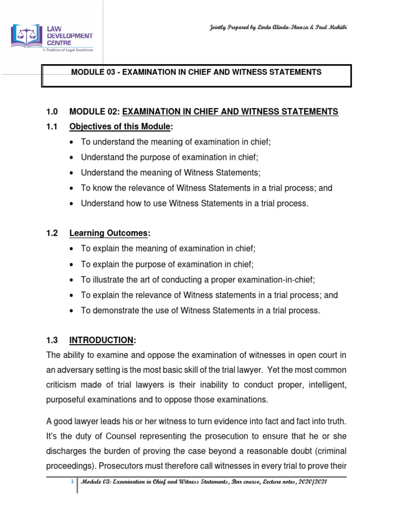 Examination in Chief: Key Concepts and Techniques | PDF | Burden Of ...