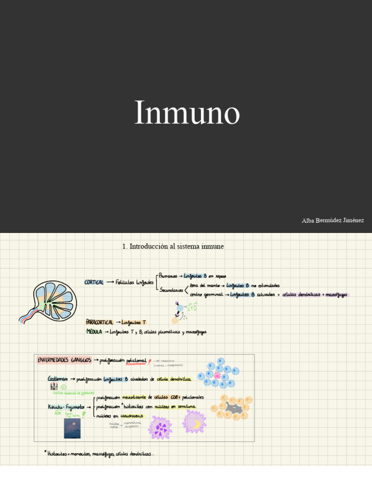 Inmuno | PDF | Ganglio linfático | Célula T