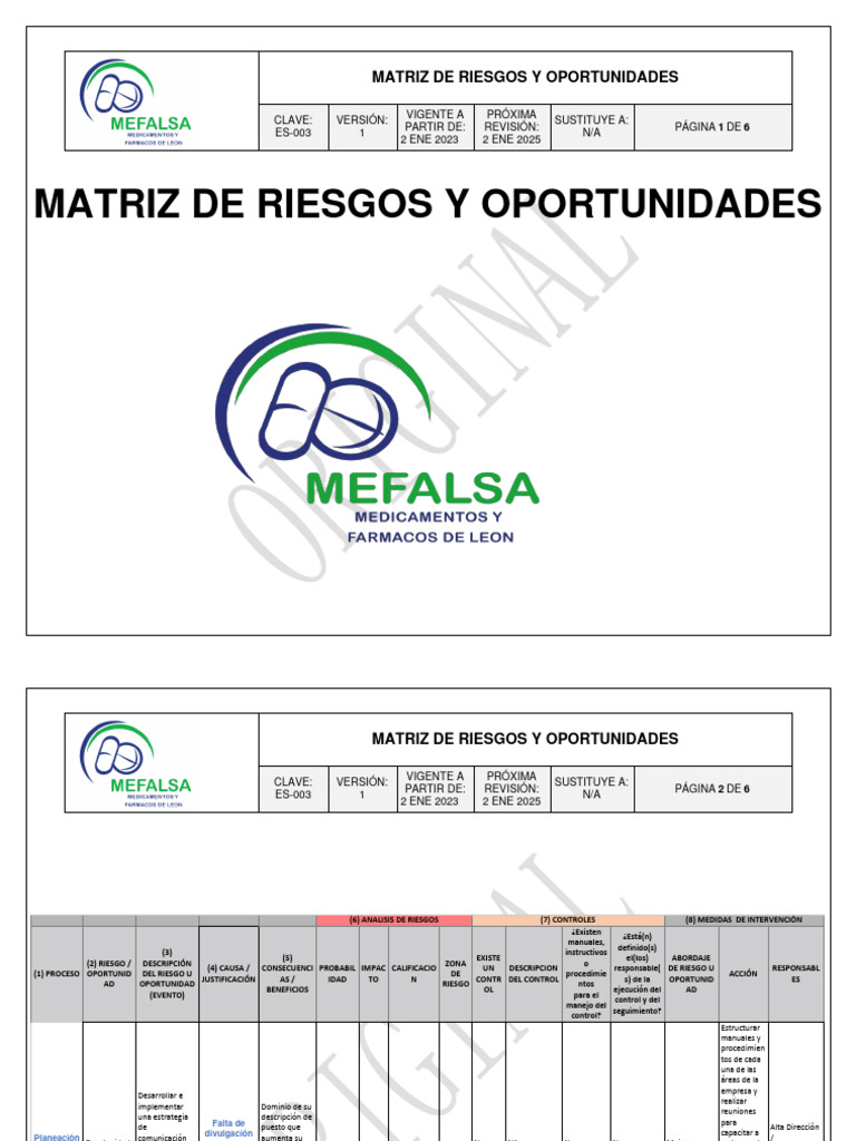 ES-003 MATRIZ DE RIESGOS Y OPORTUNIDADES | PDF | Planificación | Business