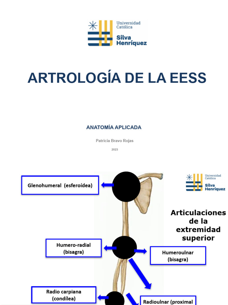 Articulaciones del Hombro y EESS | PDF | Articulación | Hombro