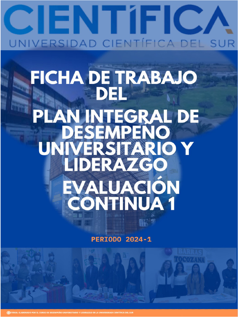 1. Ficha de Trabajo Del Plan Integral de Desempeño Universitario y ...