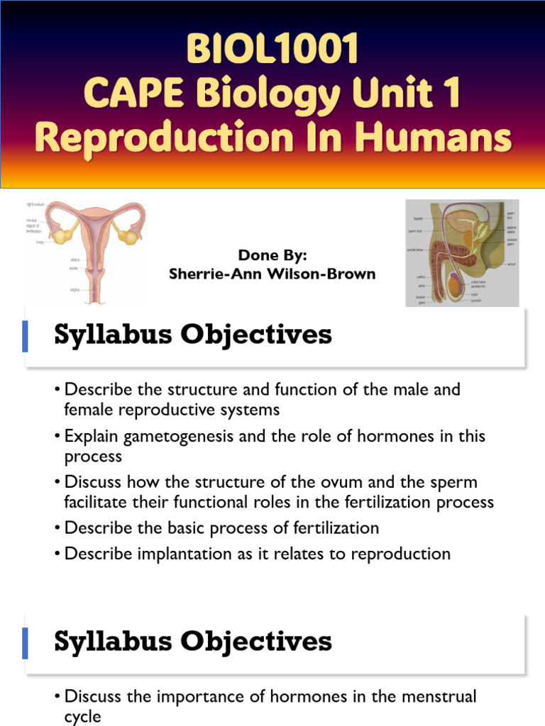 CAPE Biology Unit 1 - 17–Sexual Reproduction in Humans--(Wilson)_2024 ...