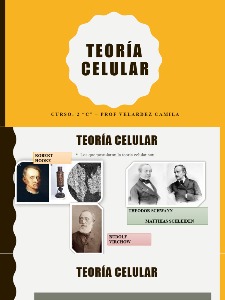 Celula - 2C | PDF | Biología Celular) | Organismos