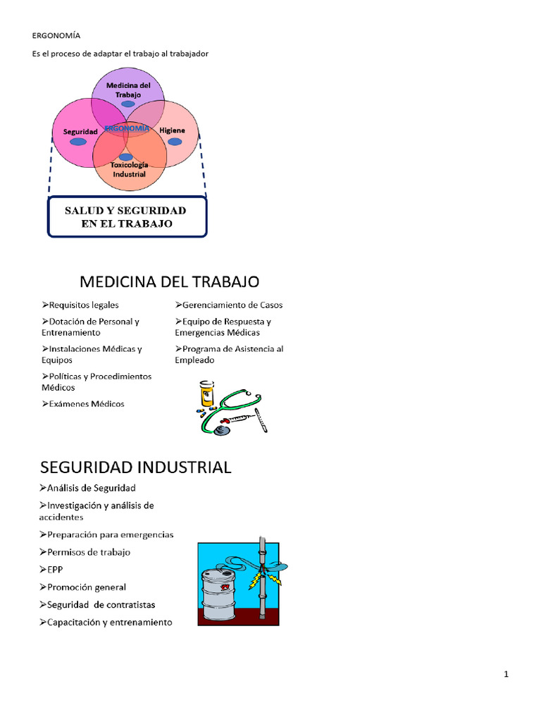 ERGO | PDF | Factores humanos y ergonomía | Seguridad y salud ocupacional