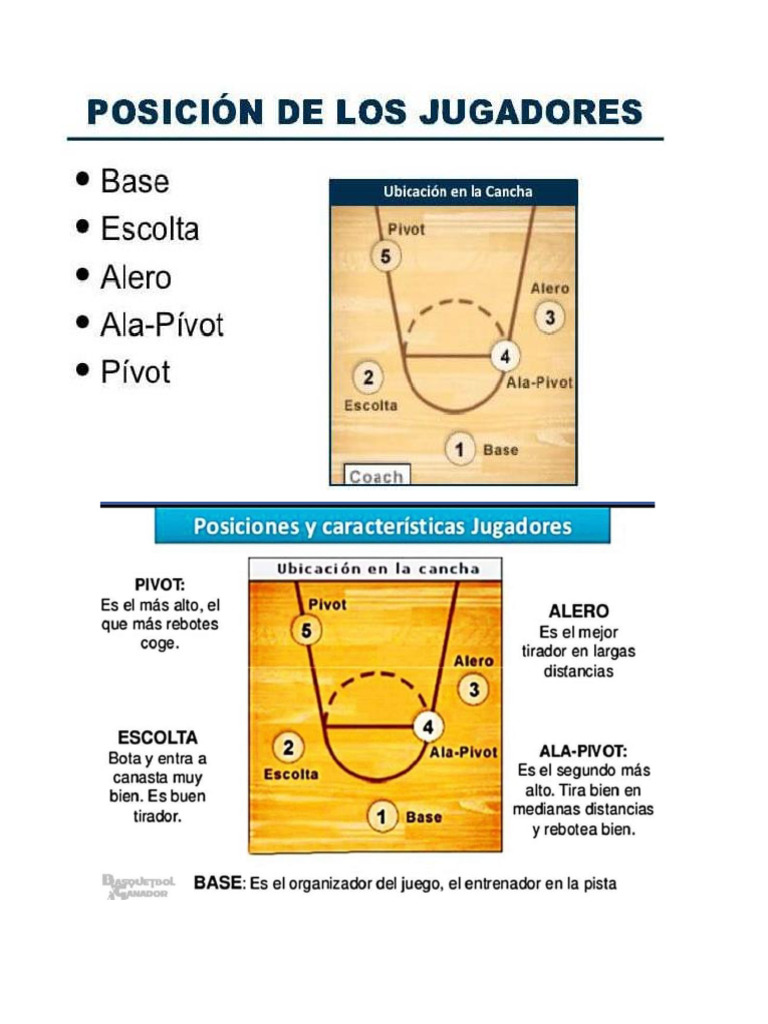 Cancha de baloncesto y de voleybol algunas posiciones | PDF