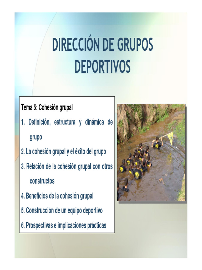 Tema 5 | PDF | Cohesión grupal | Autoeficacia