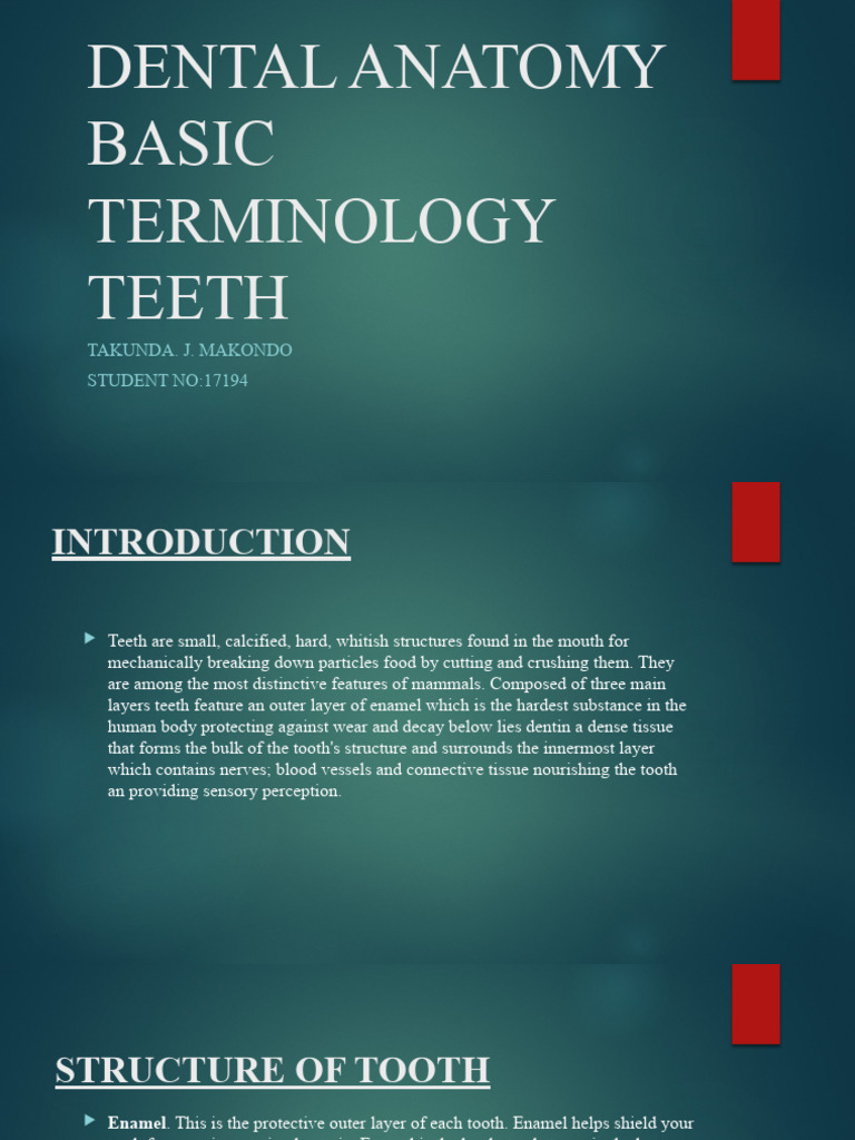 Dental Anatomy Teeth Types and Diff Basic Terminology | PDF | Human Tooth | Oral Hygiene