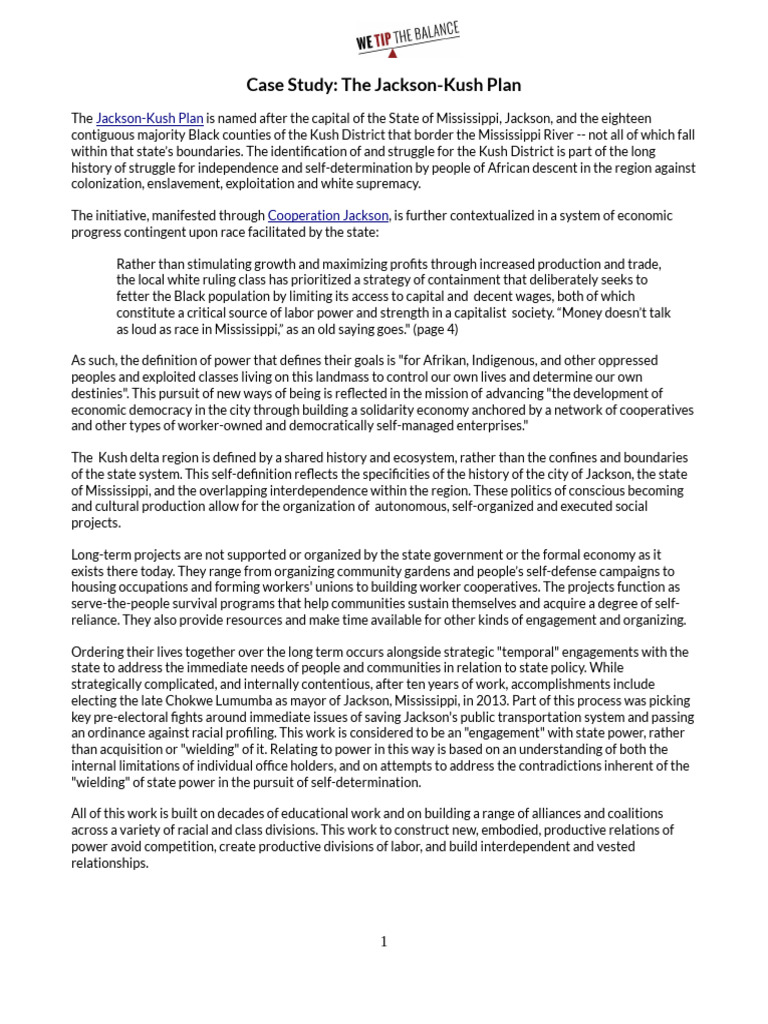 Case Study Jackson Kush Plan | PDF | Democracy | Political Ideologies