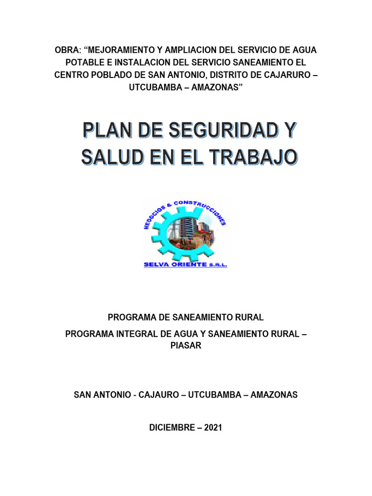 PLAN DE SEGURIDAD Y SALUD EN EL TRABAJO | PDF | Riesgo | Seguridad y salud ocupacional