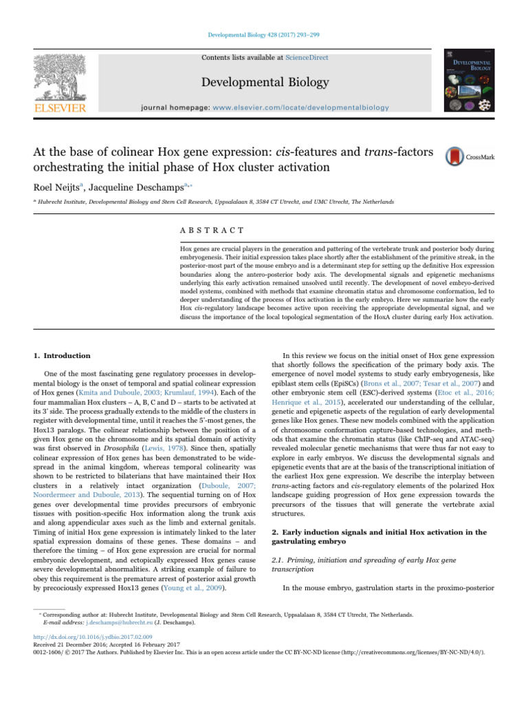 At the base of colinear Hox gene expression cis-features and trans ...