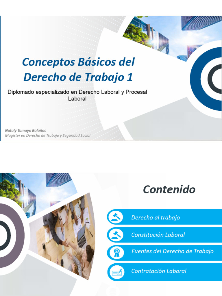 Conceptos Basicos Del Derecho Laboral 1 | PDF | Estado de bienestar | Derecho laboral