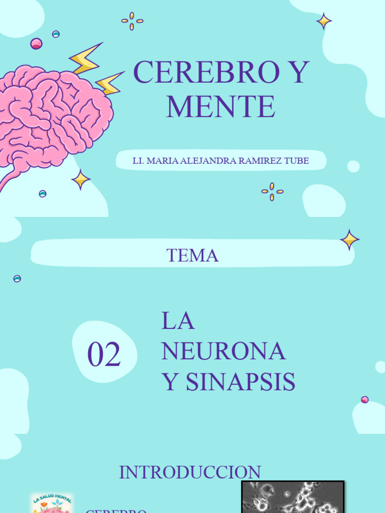 2 Neurona y Sinapsis (1) | PDF | Sinapsis | Neurona